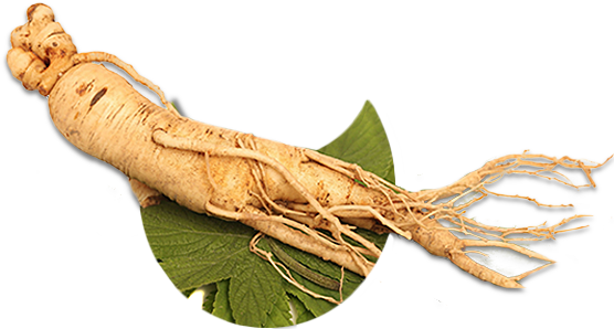 BEEBAD Energy Drink - Potente por Naturaleza - España